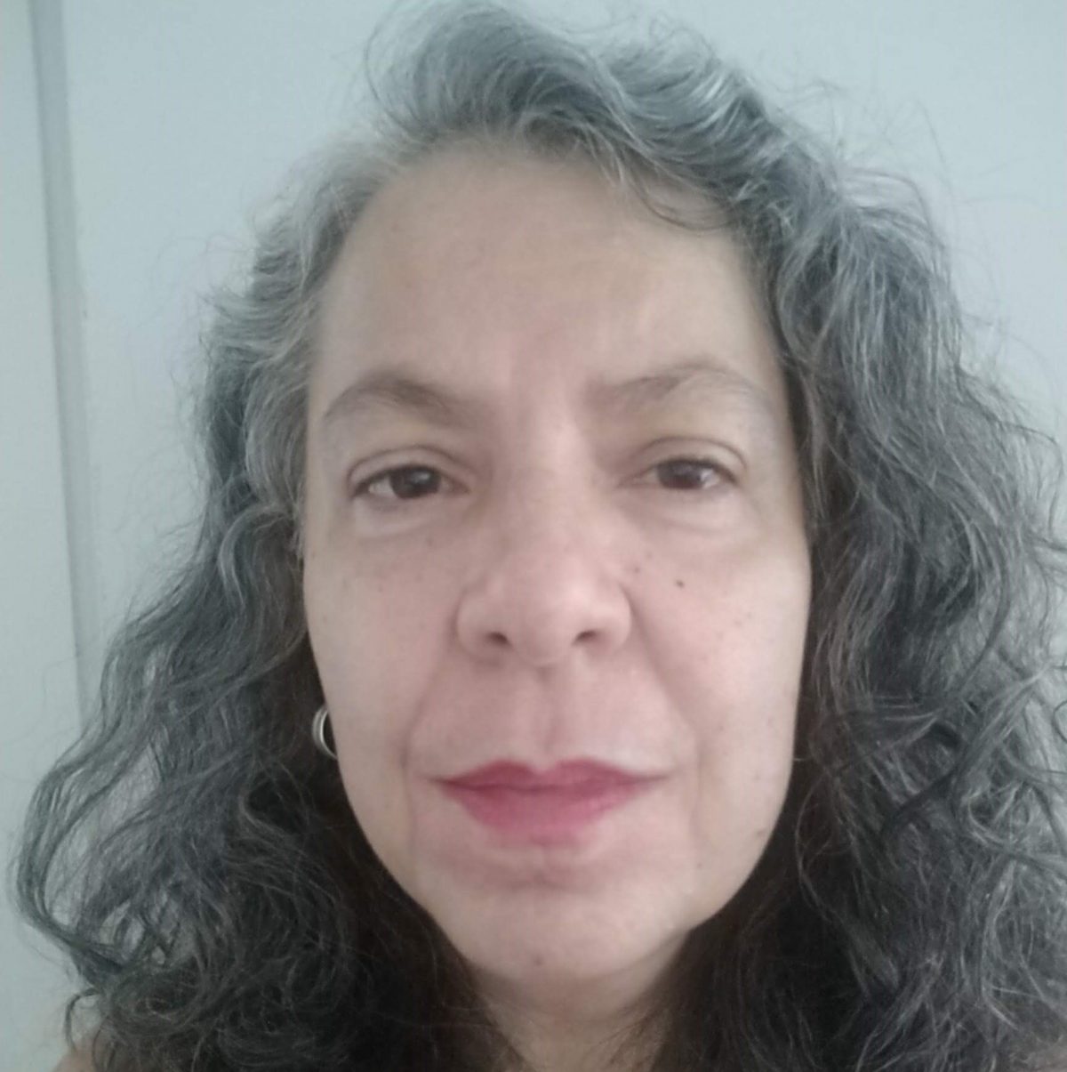 Prof. Diniz Sofia – IALCCE